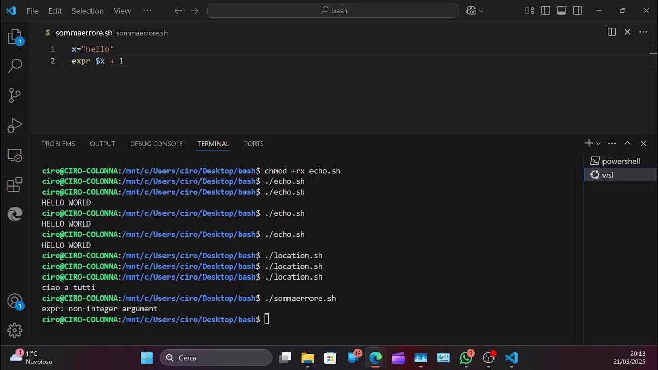 programmiamo in bash // VS code linux & ubuntu road to 85 iscritti!! - YouTube