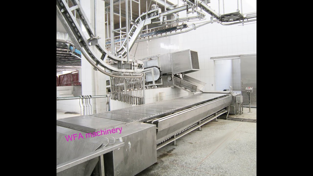 WFA Livestock Abattoir Horizontal Type Killing And Bleeding Conveyor ...
