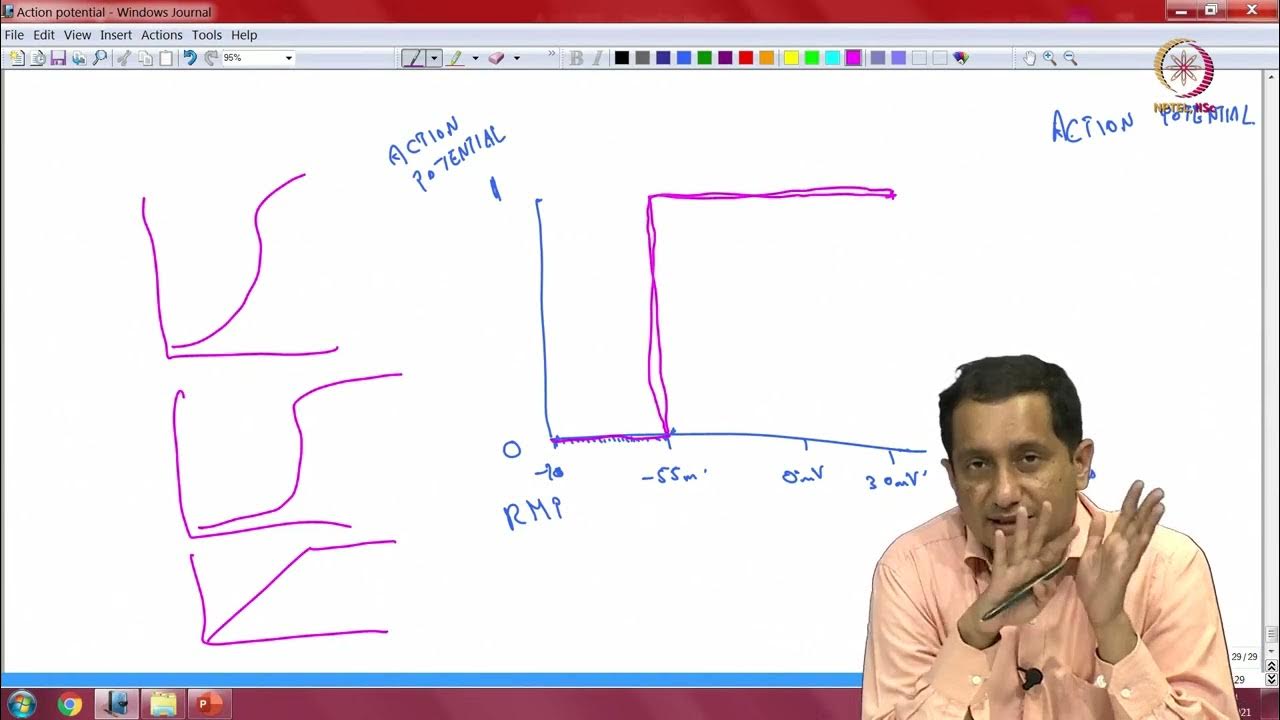 Mod 02 lec 07 Threshold and Action Potential Propogation - YouTube