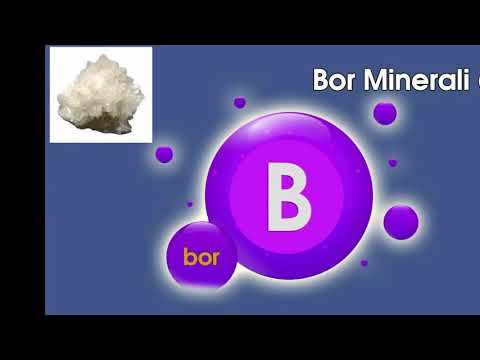 Bor Nedir ? Bor’un İnsan Beslenmesi ve Sağlığı Açısından Önemi