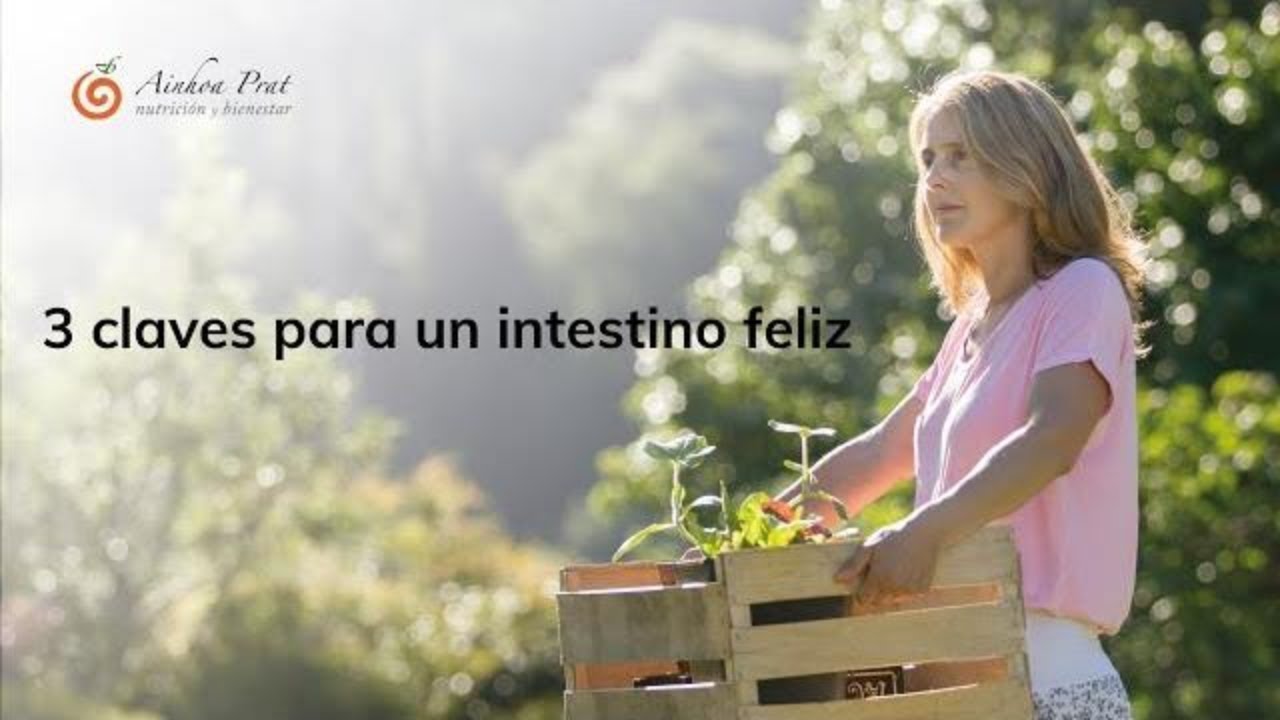 3 claves para un intestino feliz - YouTube
