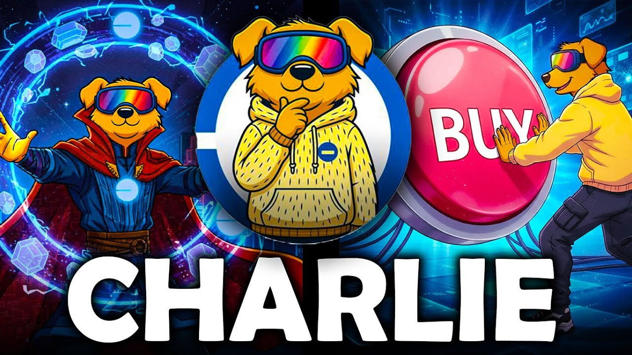 CHARLIE: Why Base Memes Are Set To Run... - YouTube