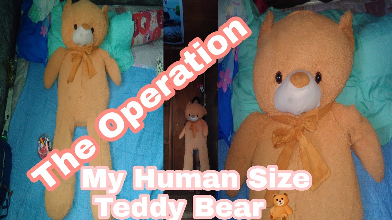 MY HUMAN SIZE TEDDY BEAR TRANSFORMATION - YouTube