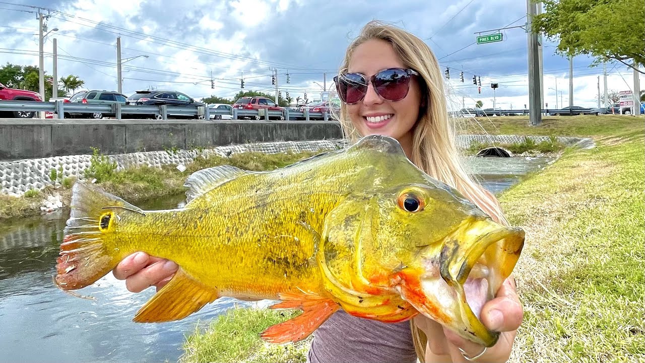 Chasing the World's Most Beautiful Fish! *Calm Before The Storm* - YouTube