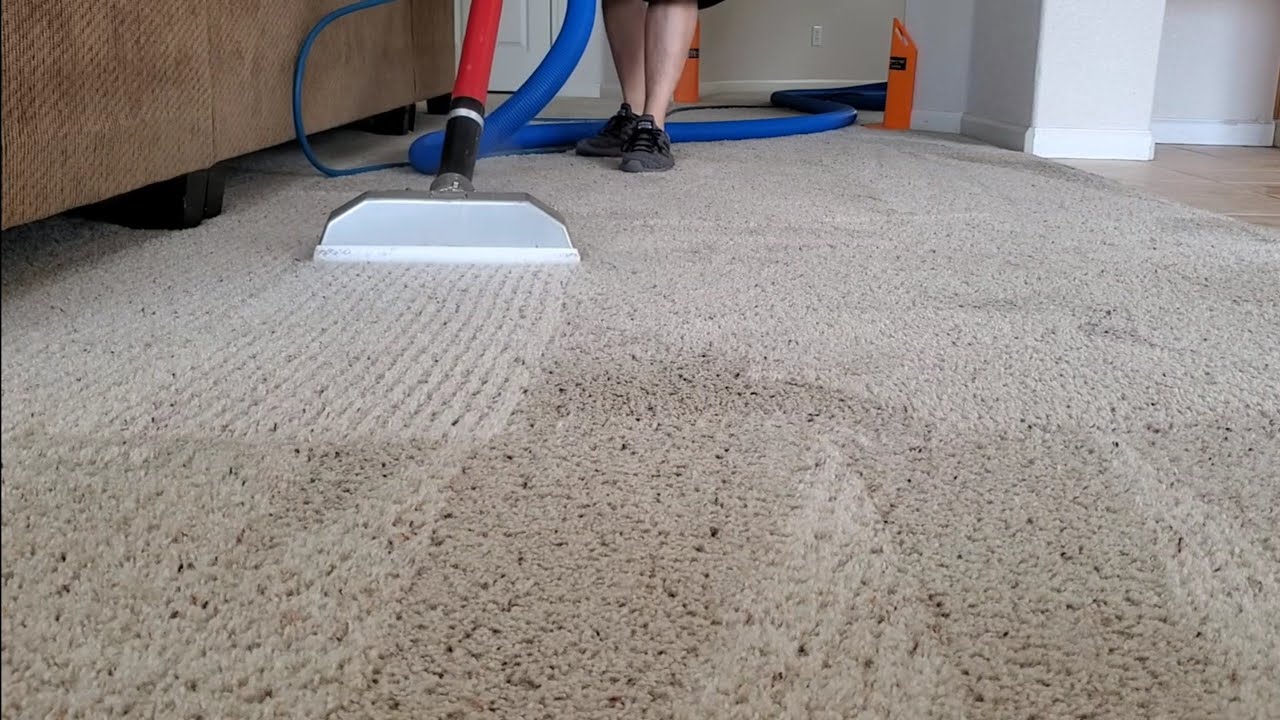 Big House Carpet Cleaning with Satisfying Results - YouTube