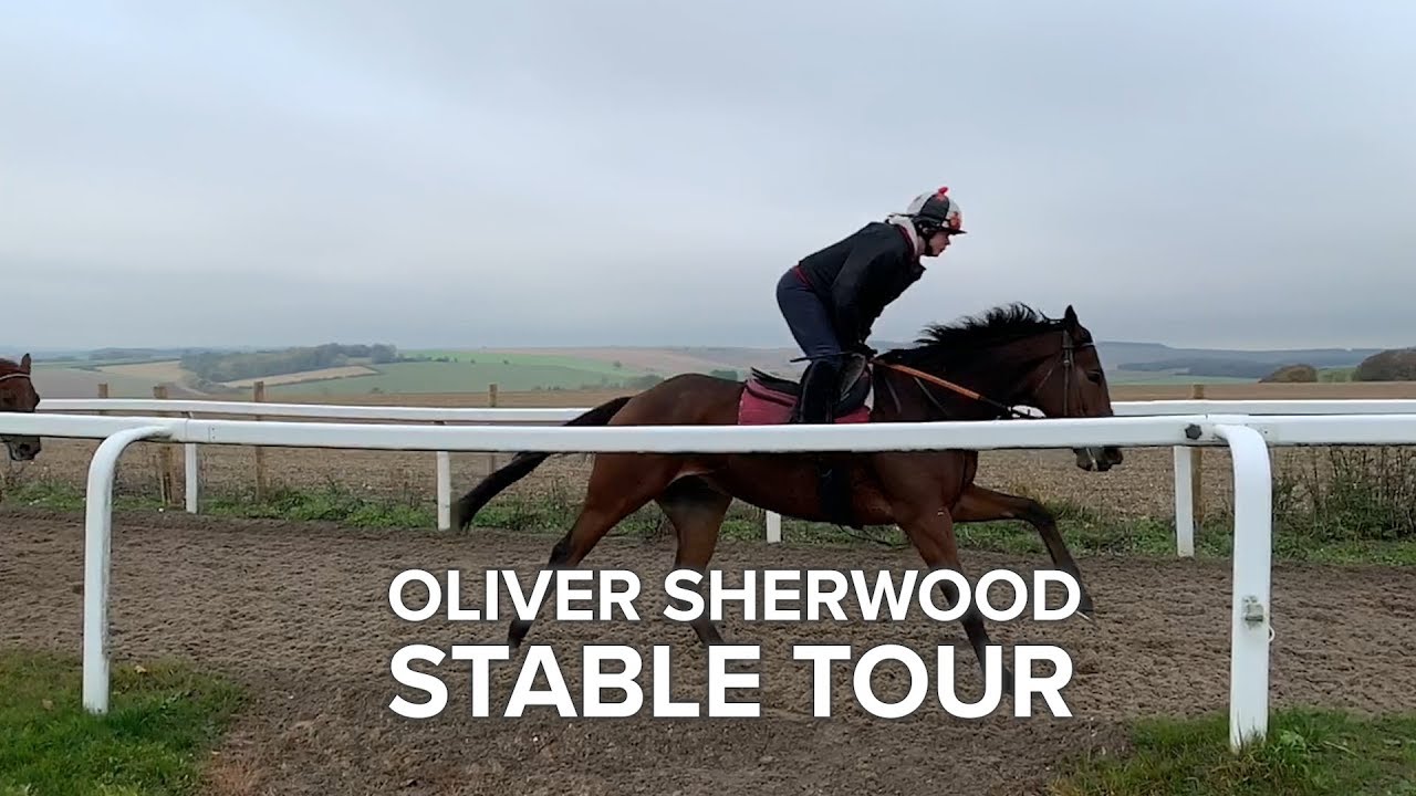 Oliver Sherwood Stable Tour - YouTube