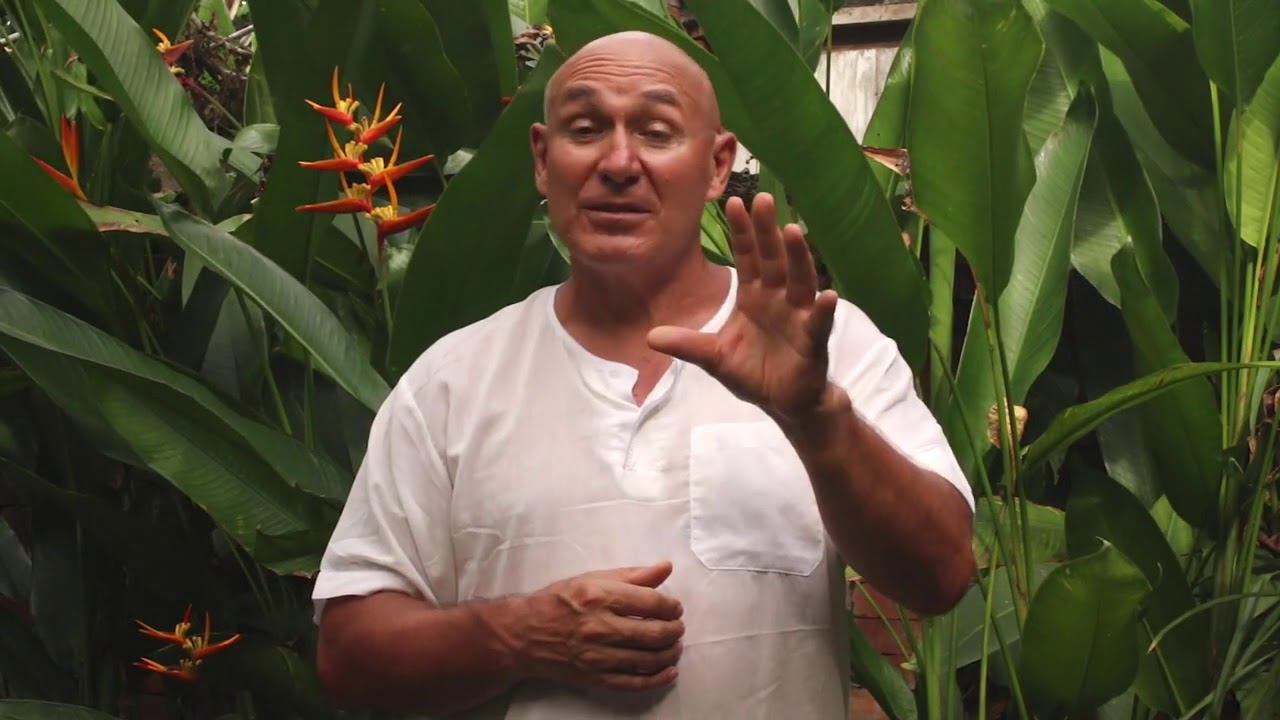 Learn the simple 24 Posture Yang style Taiji form : Introduction - YouTube