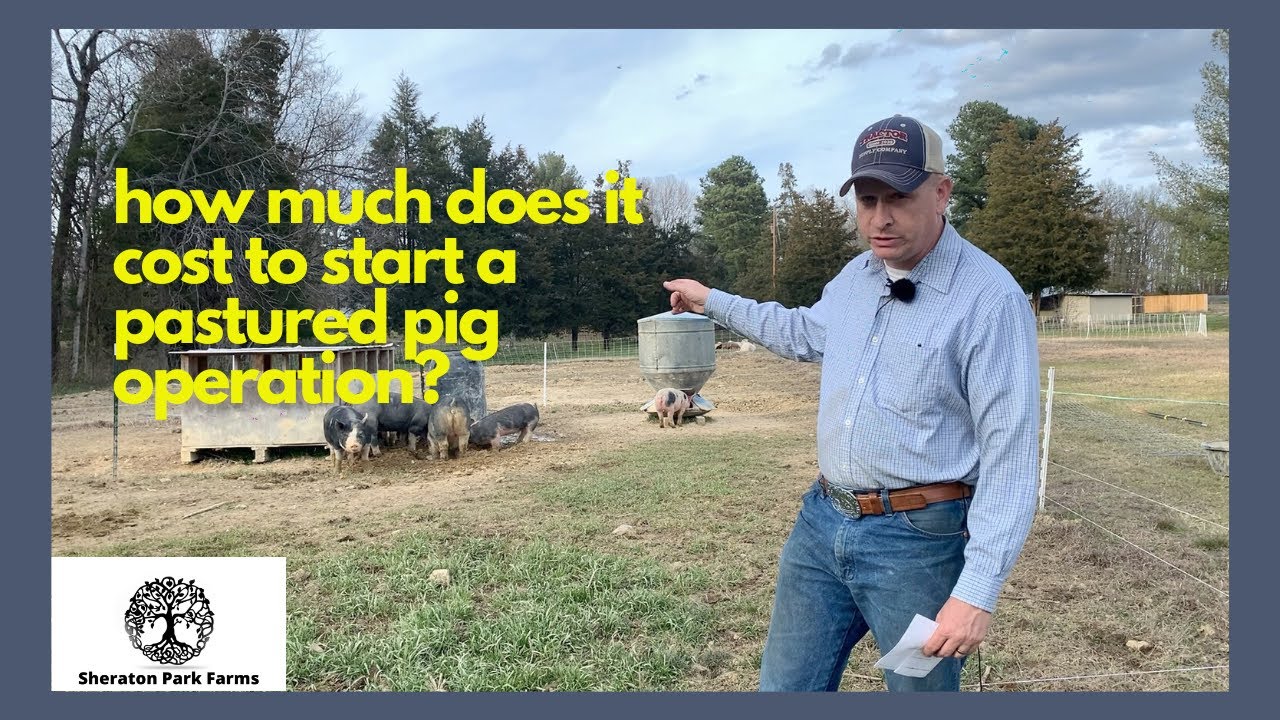 Getting Started with Pastured Pork - How Much Does It Cost To Start A ...