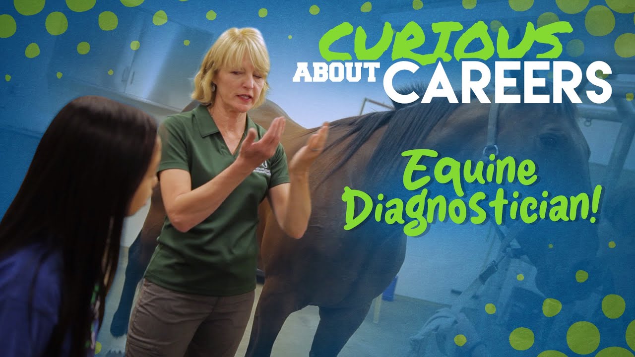 Equine Diagnostician | Dr. Stephanie Valberg | Curious About Careers ...