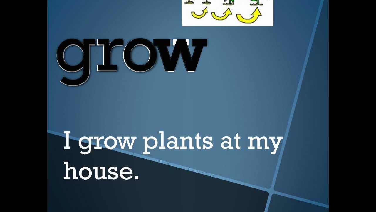 Kindergarten Sight Words - 4th Nine Weeks - YouTube