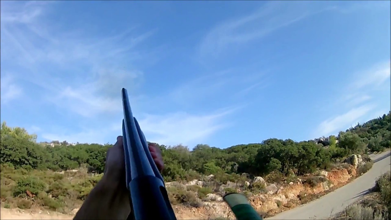 18-10-17 κυνήγι, ωραιες στιγμες εν ωρα δρασης(καρακαξα+ορτυκι) - YouTube