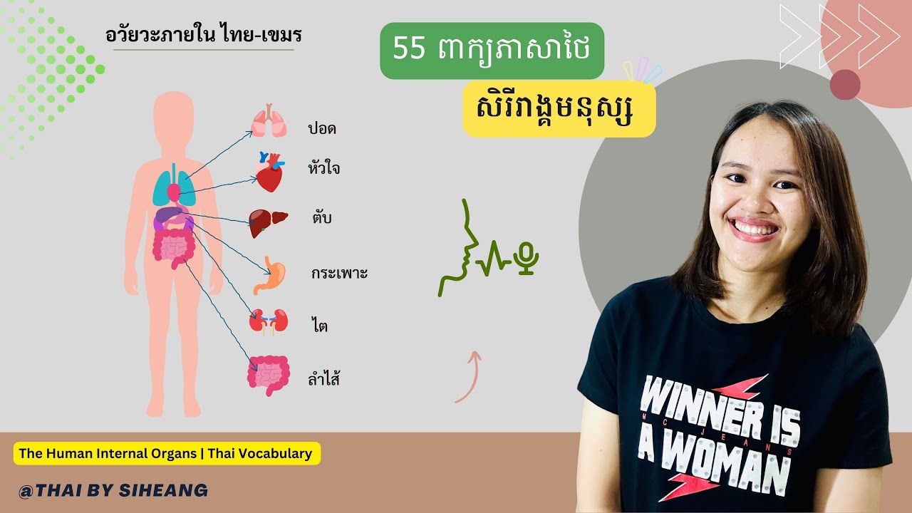 ពាក្យភាសាថៃ សិរីរាង្គមនុស្ស 55 ពាក្យ - อวัยวะภายใน ไทย-เขมร 55 คำ ...