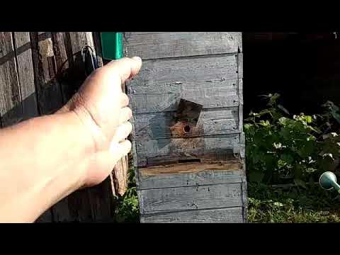 Улей колода комби. Семилетний опыт. - YouTube