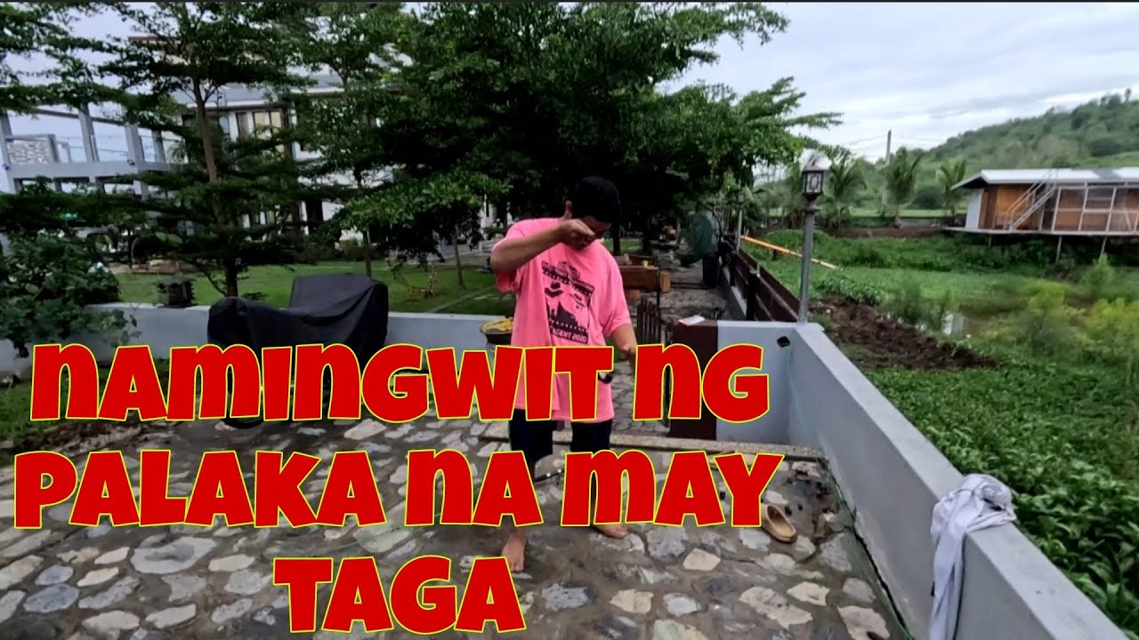 Dahil walang isda, palaka na lang muna | Masaya pala mamingwit ng ...