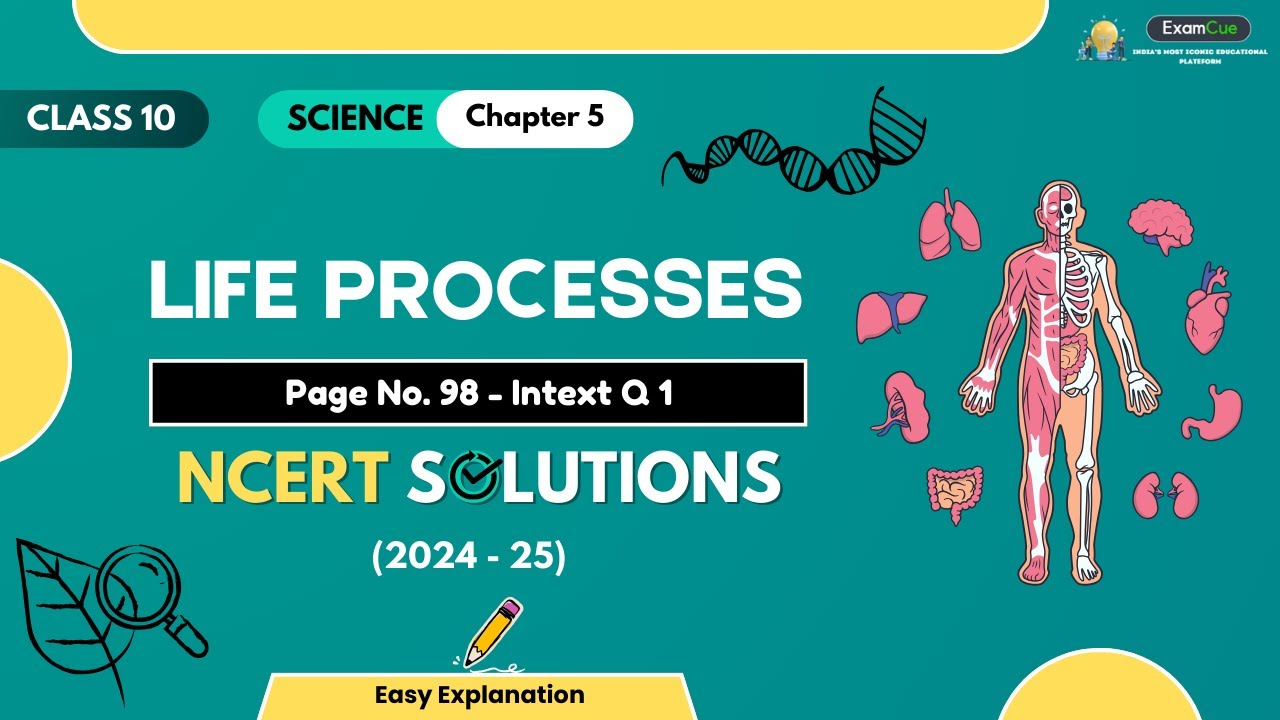 Class 10 Science Chapter 5 Intext Q1 Page 98 Life Processes Class 10 Science Chapter 5 Intext Q1 Page 98 Life Processes