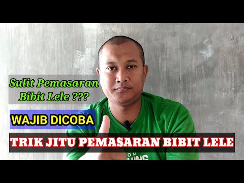 SOLUSI KETIKA SULIT PEMASARAN BIBIT LELE