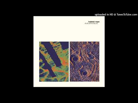 Sunwave - Hybrid Man