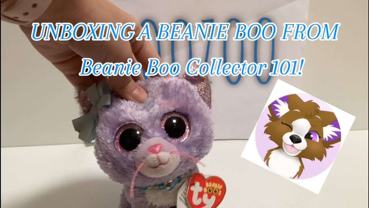 UNBOXING A BEANIE BOO FROM @beanieboocollector101 !! - YouTube
