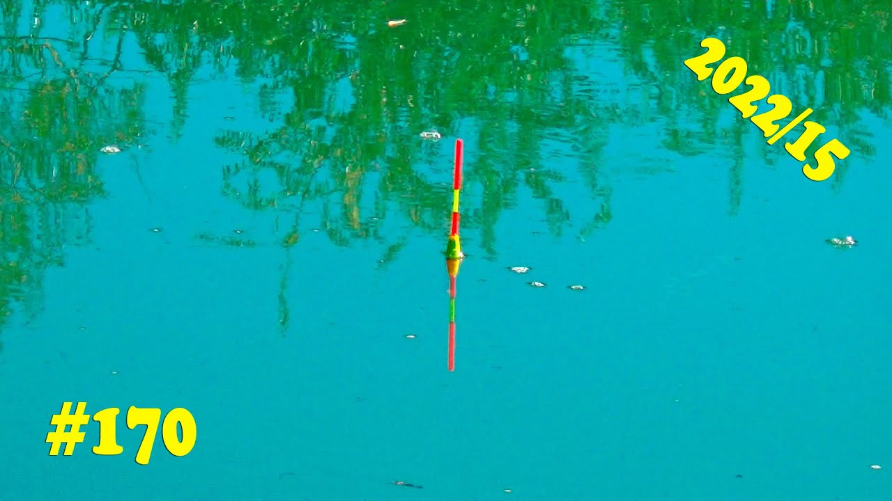 Big Fish Hunting with Fishing Rod | Fish Hunting in the River | Carp ...