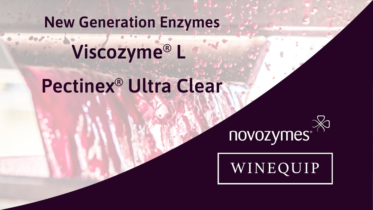 Latest Enzymes from Novozymes - YouTube