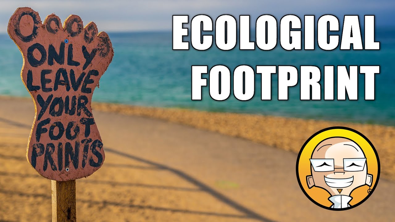 ScienceMan Lesson What Is Your Ecological Footprint YouTube scienceman-lesson-what-is-your-ecological-footprint-youtube