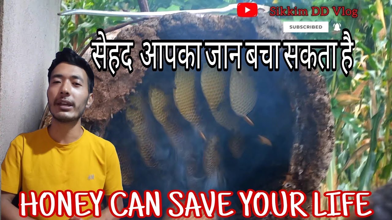 Harnessing the Life-Saving Benefits of Honey - YouTube