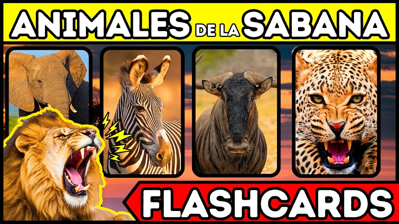 🦁 ANIMALES de la SABANA AFRICANA | FLASHCARDS de ANIMALES para Niños ...