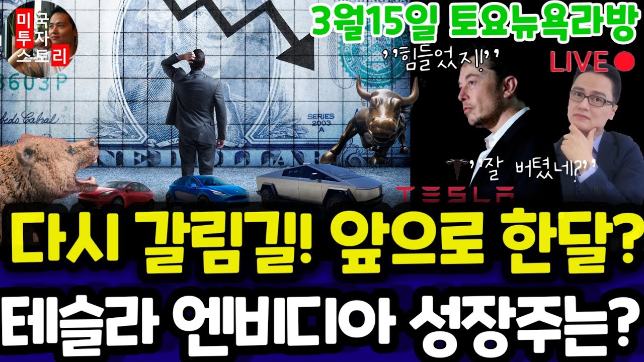 미국주식앞으로 한달 시장은 어디로 최고전략비중공개와 종목분석테슬라 엔비디아 구글 애플 아마존 메타 마이크로소프트