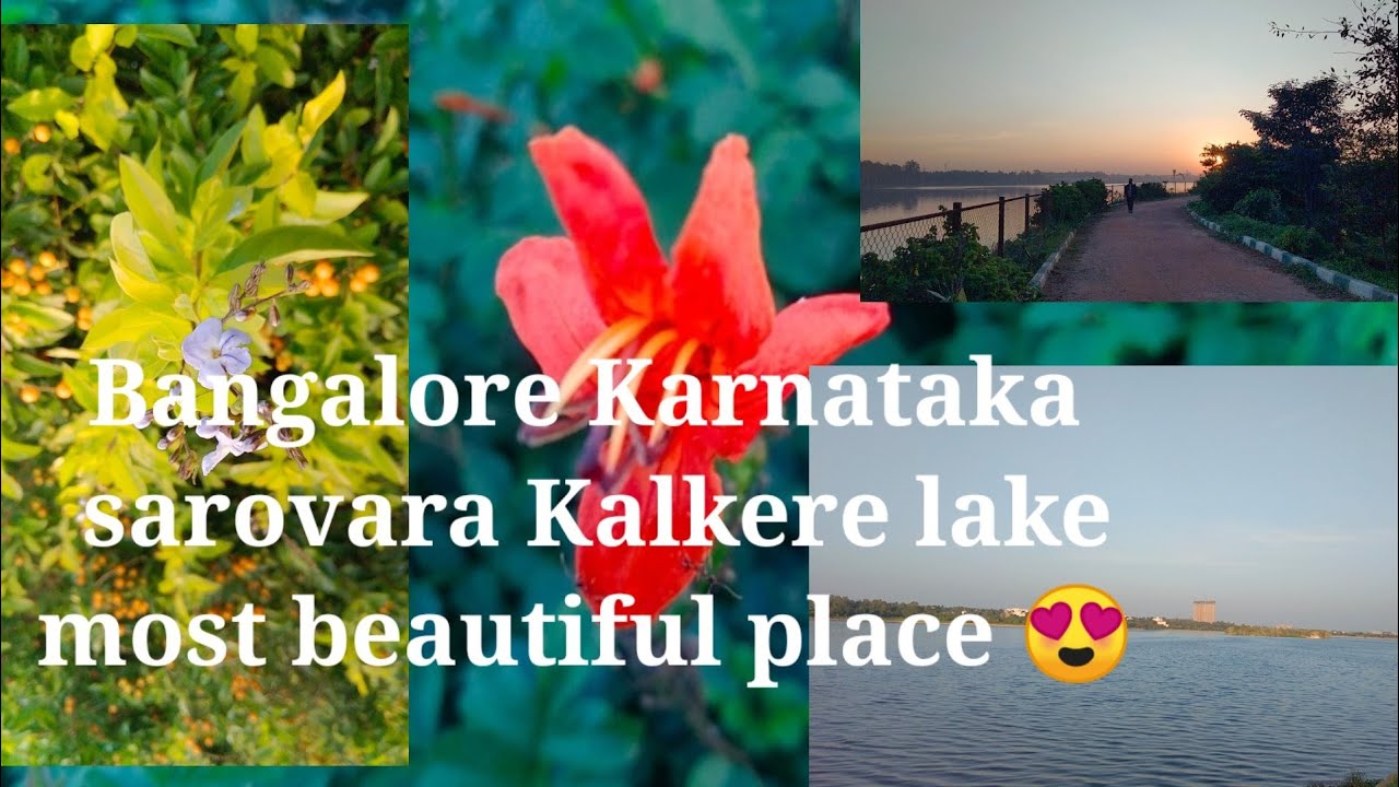 Most beautiful park | Bangalore Karnataka sarovara Kalkere lake and ...