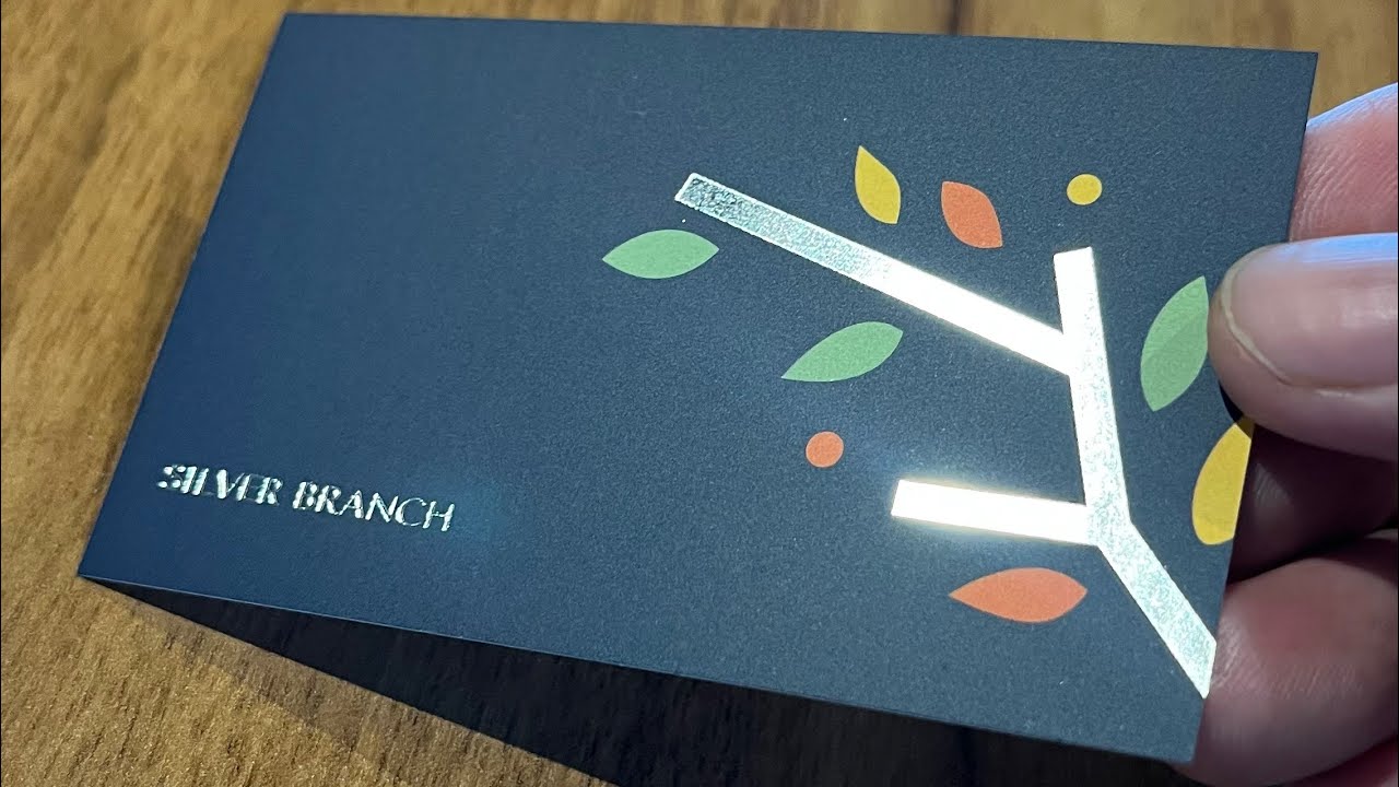 Metallic Silver Foil Business Cards | Foil Business Card Printing ...