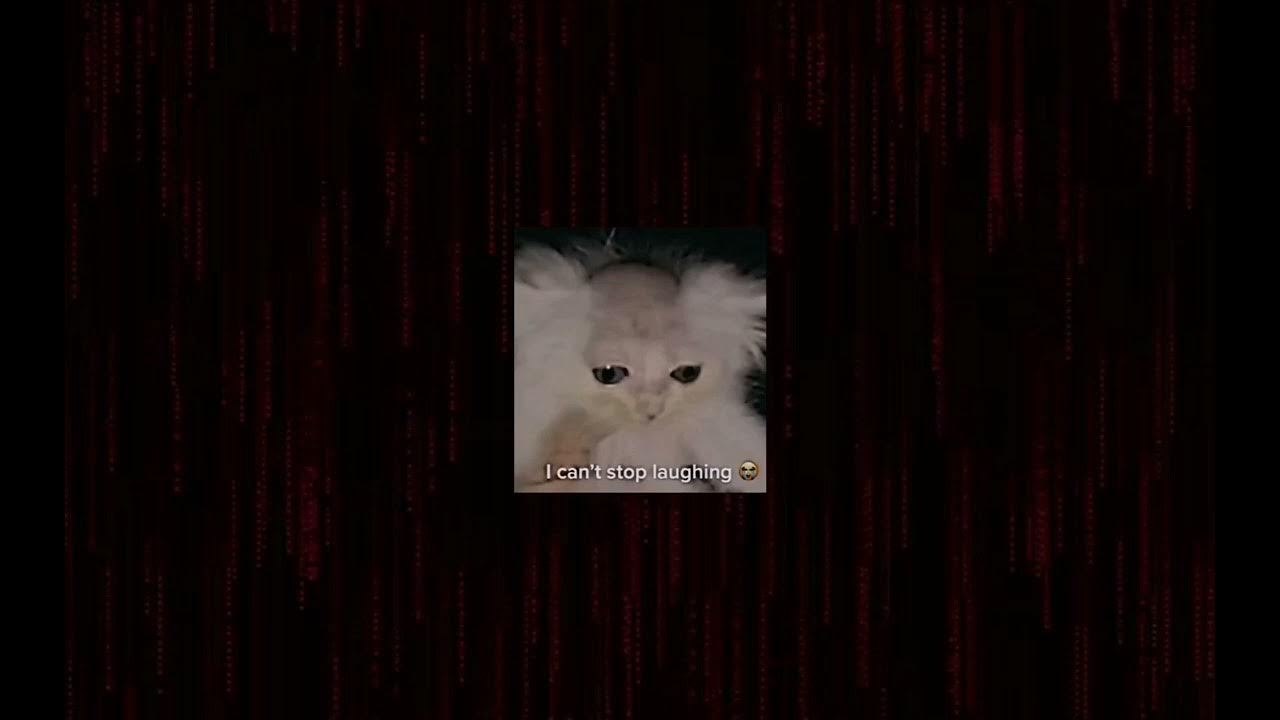 ballin x casin |slowed down | full song | 50 sub special | - YouTube