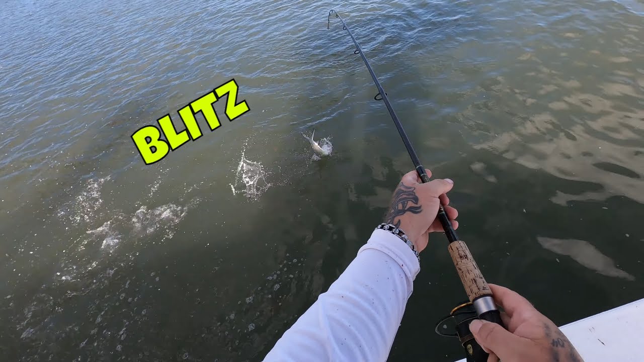 Fishing a BLITZ !!! When you find this be ready!!! - YouTube