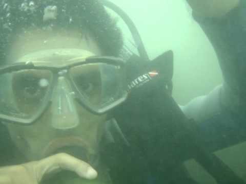 scuba diving experience at busan south korea - YouTube