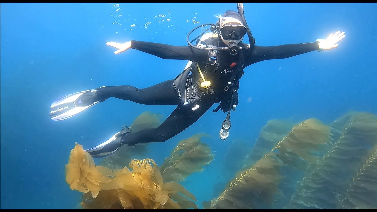 Anacapa Island SCUBA dive - YouTube