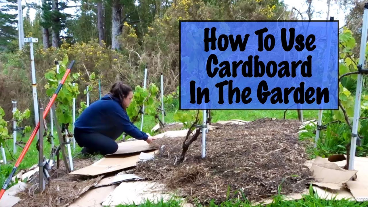 Utube Using Cardboard In Gardens Mini Cardboard House Model With