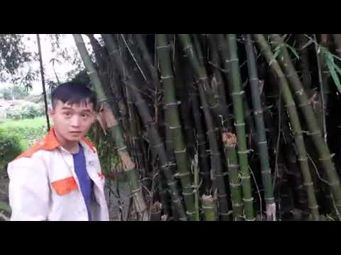 DEFİNE ÇİN MACERASI +905426612928 WHATSAPP