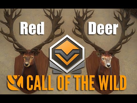Diamond Red Deer Hunt - theHunter Call Of The Wild - YouTube