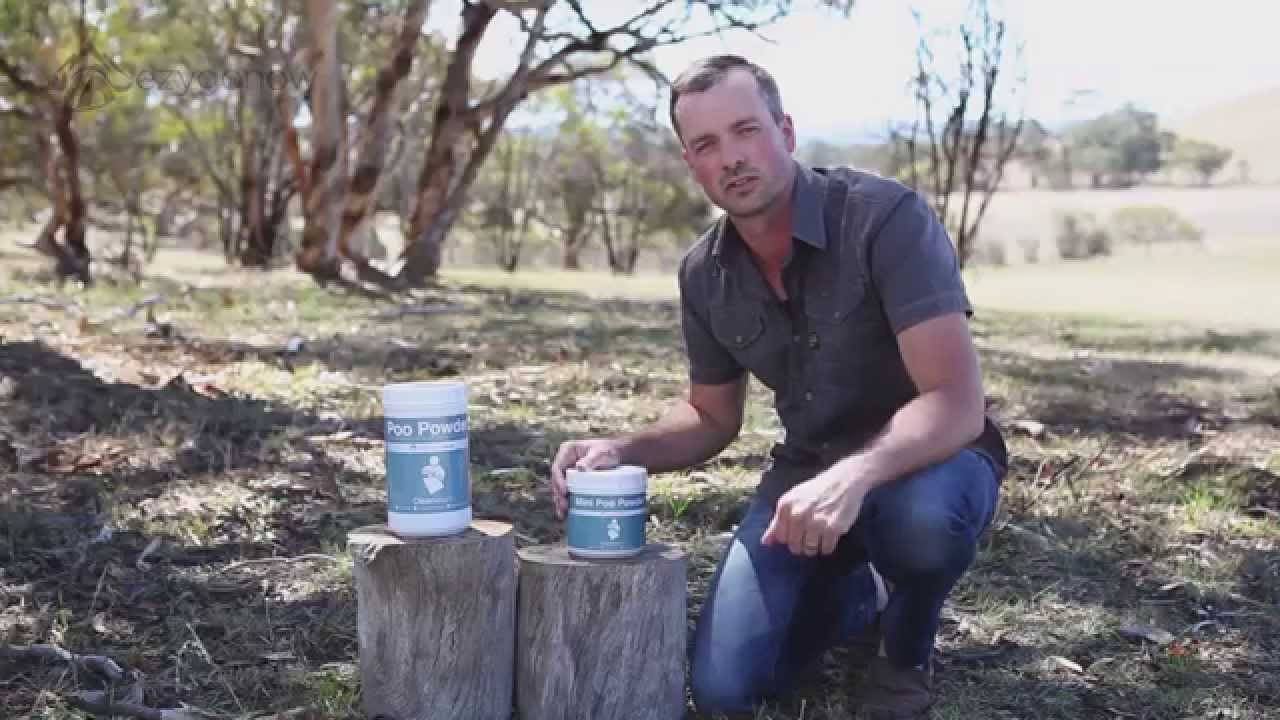 Ezygonow Poo Powder Waste Treatment Powder - YouTube