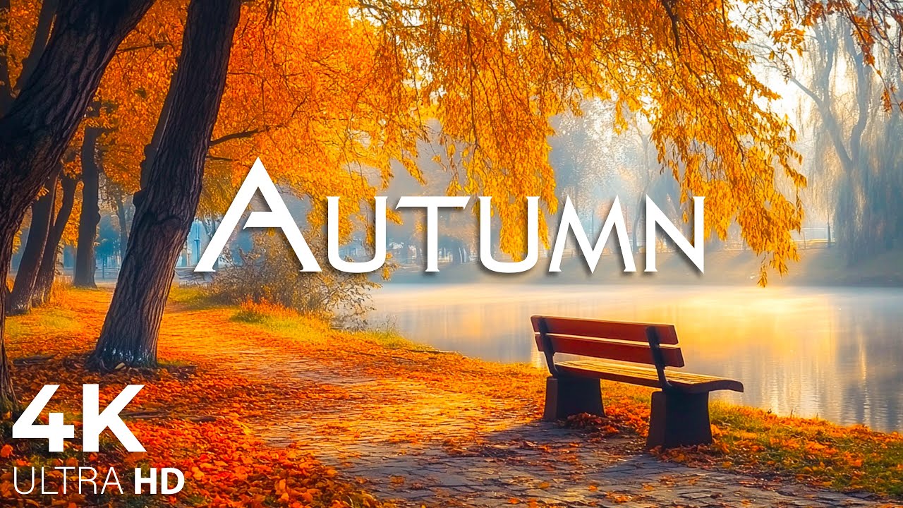 11 HOURS of 4K Enchanting Autumn Nature Scenes + Relaxing Piano Music ...