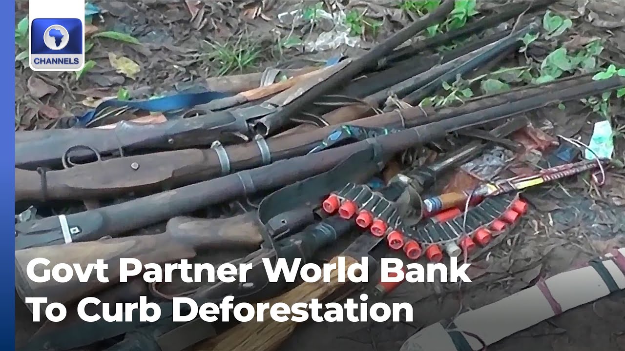 Taraba Govt Partner World Bank To Curb Deforestation, Illegal Mining ...