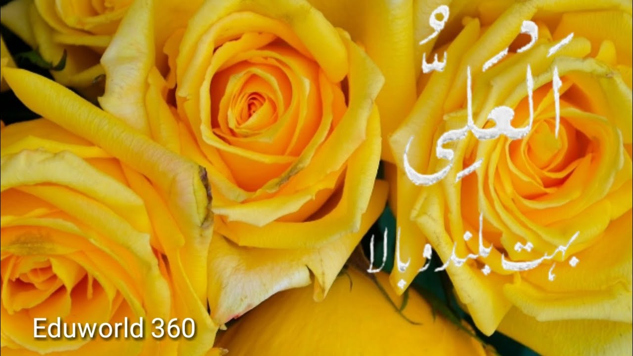 Al - Aliy | 99 Names of Allah | Allah ke 99 naam - YouTube