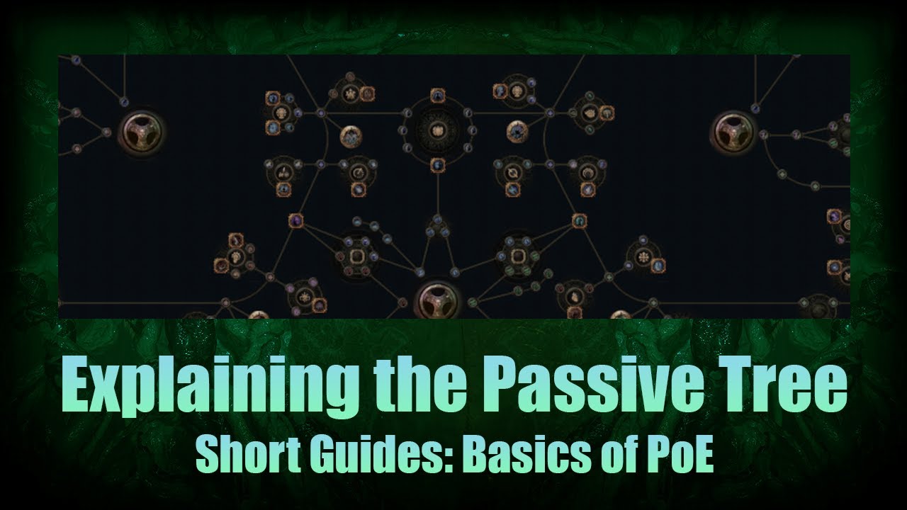 How does the Passive Tree work? | Basics of PoE Short Guide - YouTube