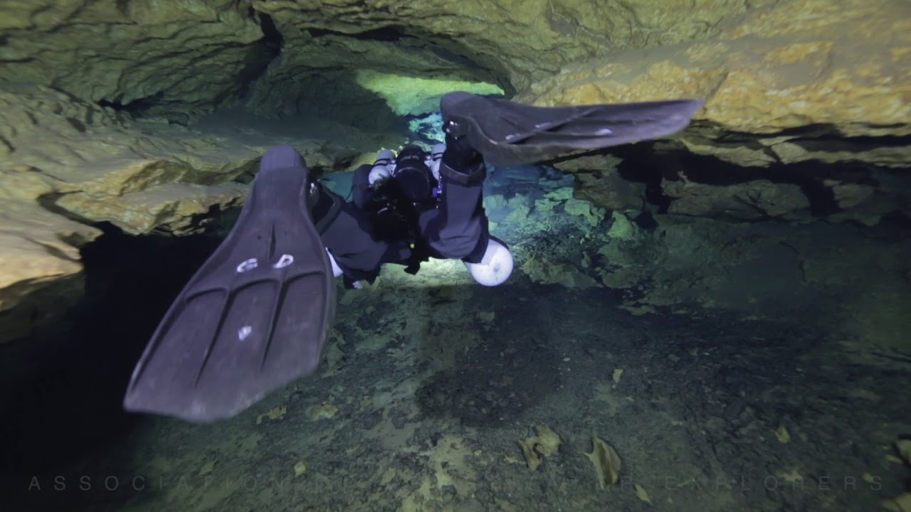 DIVERS DOCUMENT FASCINATING FIND IN MADISON BLUE SPRING STATE PARK CAVE ...