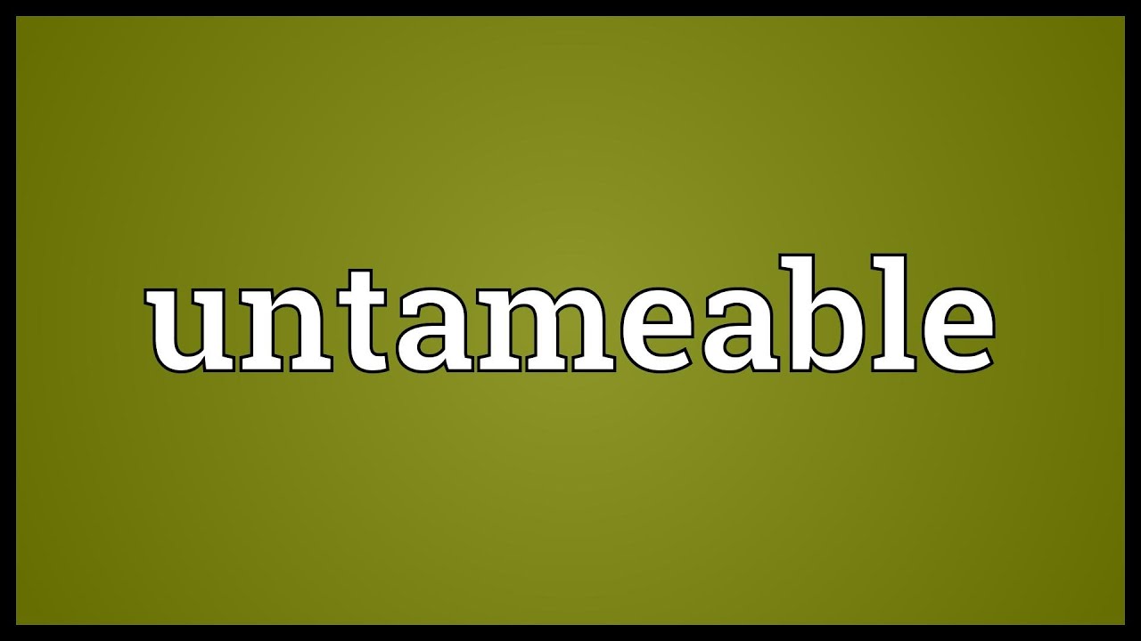 Untameable Meaning - YouTube