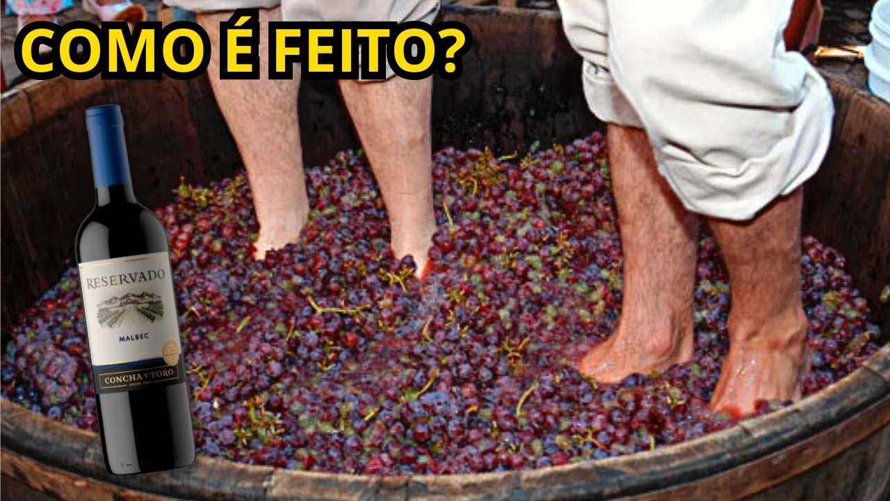 COMO É FEITO O VINHO? - YouTube