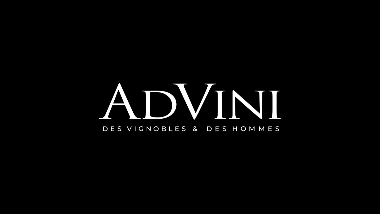 Advini - Corporate video - 2024 - YouTube