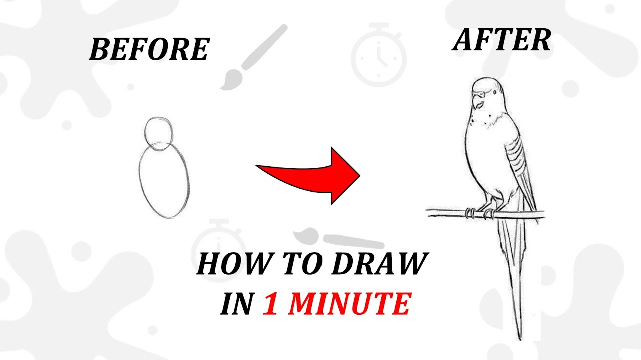 How to draw a bird (how to draw lovebird) - YouTube