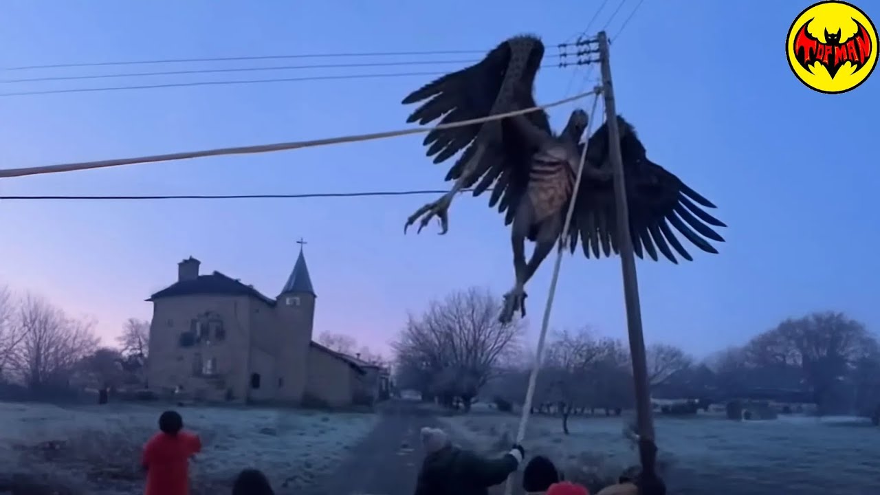 15 Creatures That Fell From the Sky… and Terrified Everyone Who Saw ...