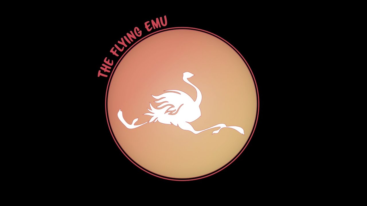 FPV Show Reel 2022 Flying Emu - YouTube