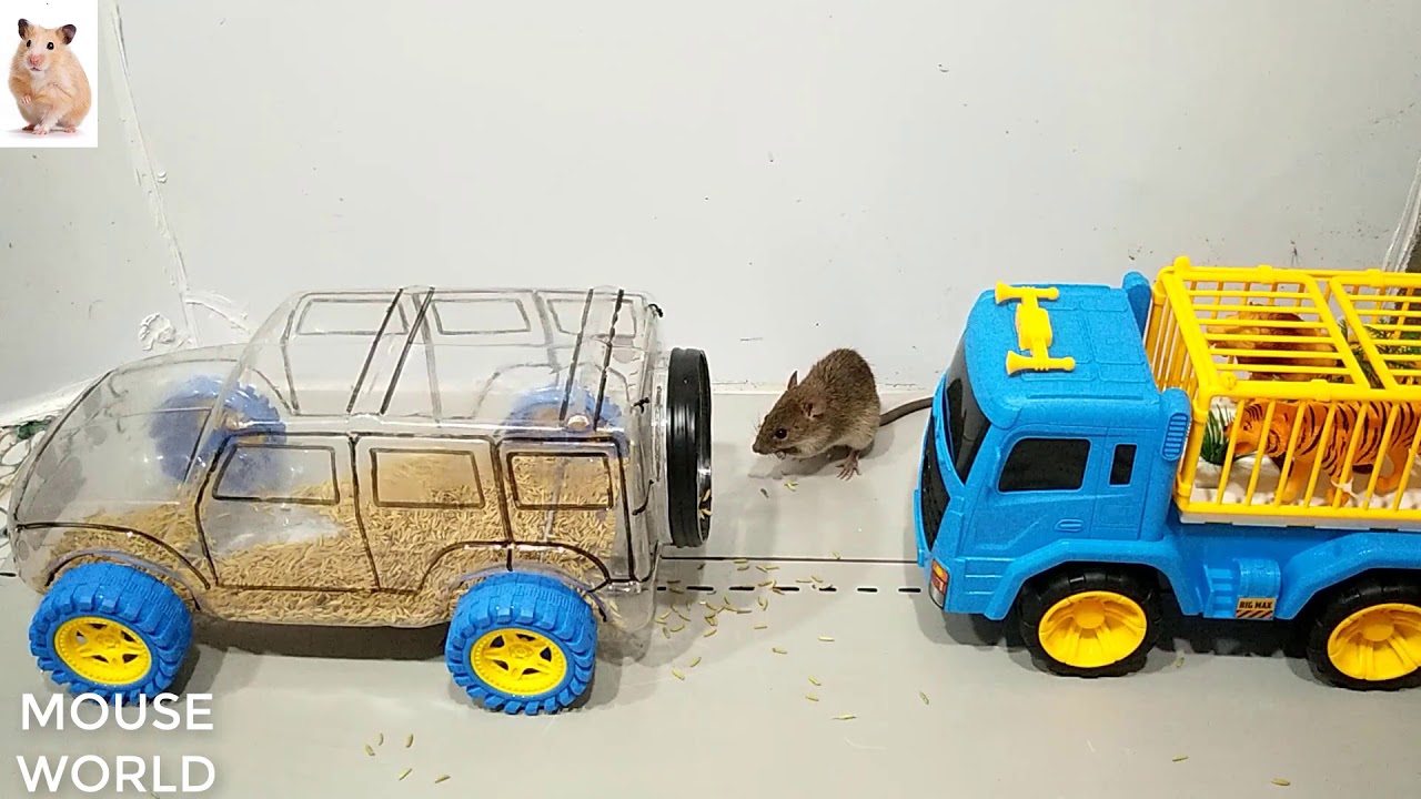 MOUSE WITH 2 PCS CHILDREN'S CARS / SIMPLE MOUSE - YouTube